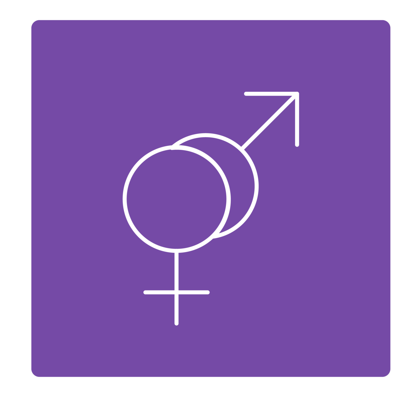 What are Gender transformative approaches? - CoP FGM-MGF